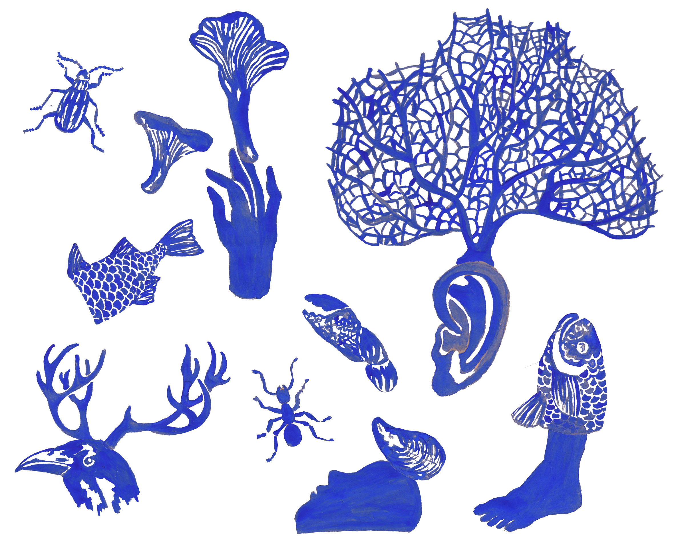 Animalisation et déshumanisation : une histoire commune - Entretien ...